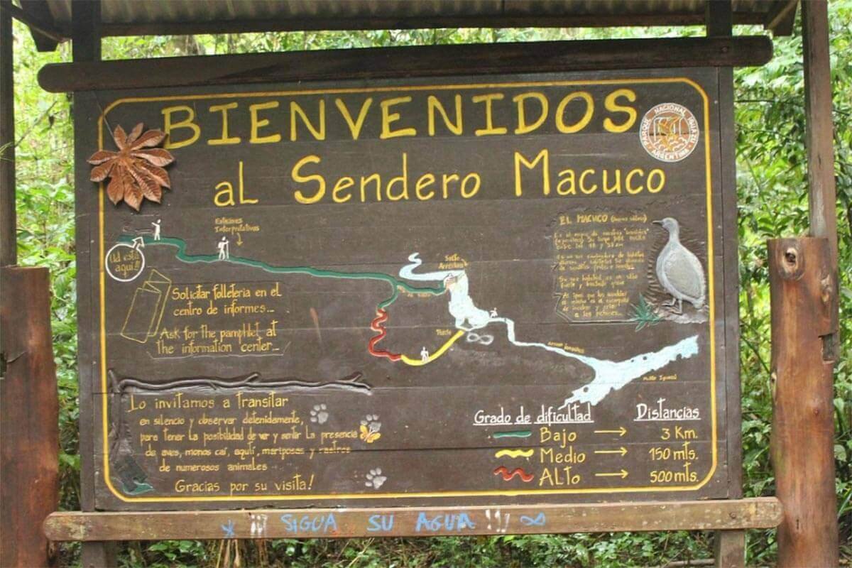 Sendero Macuco en el Parque Nacional Iguazú
